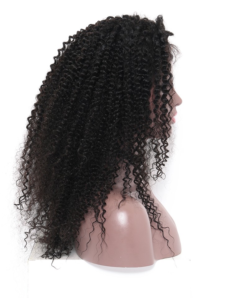 Silk Base Wigs Natural Scalp Kinky Curly Full Lace Human Hair Wigs ...